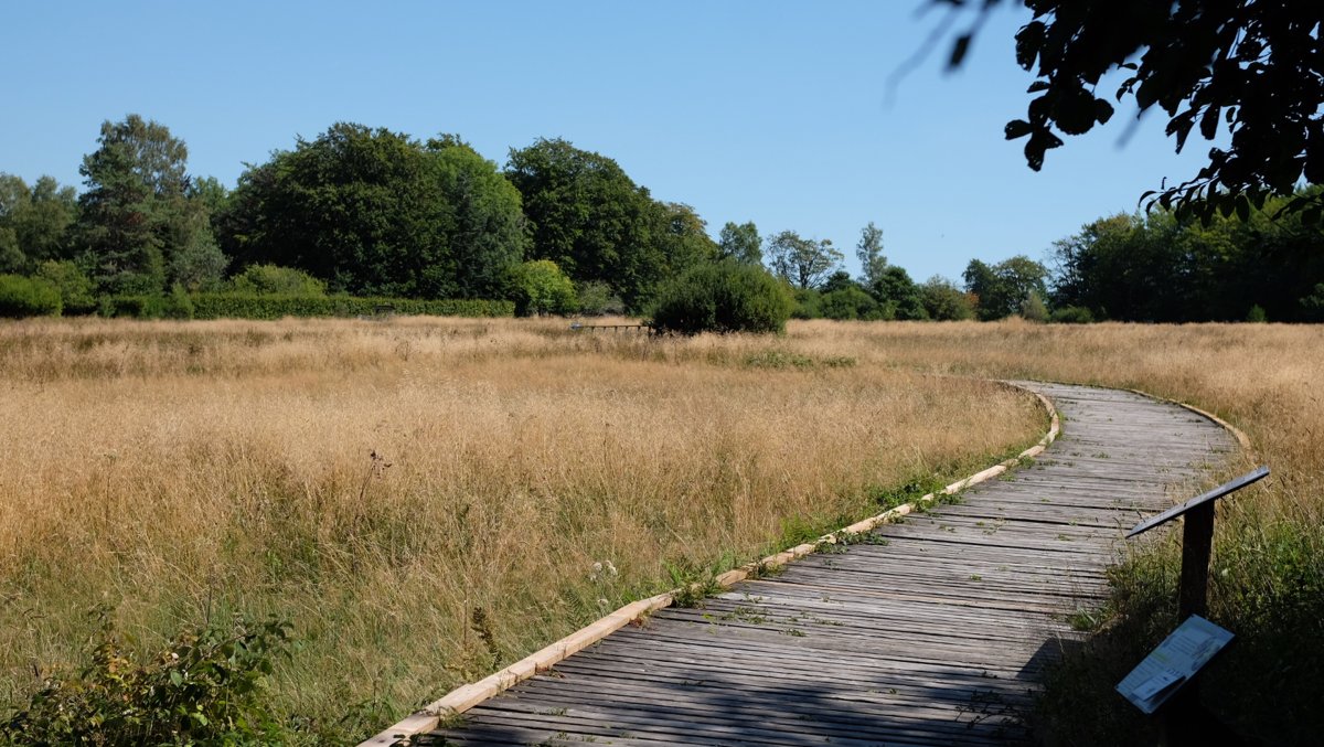Wandelen boven de bronnen – Spa.be